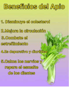 Apio: Propiedades, Beneficios y Cómo Consumirlo – Mas Natural