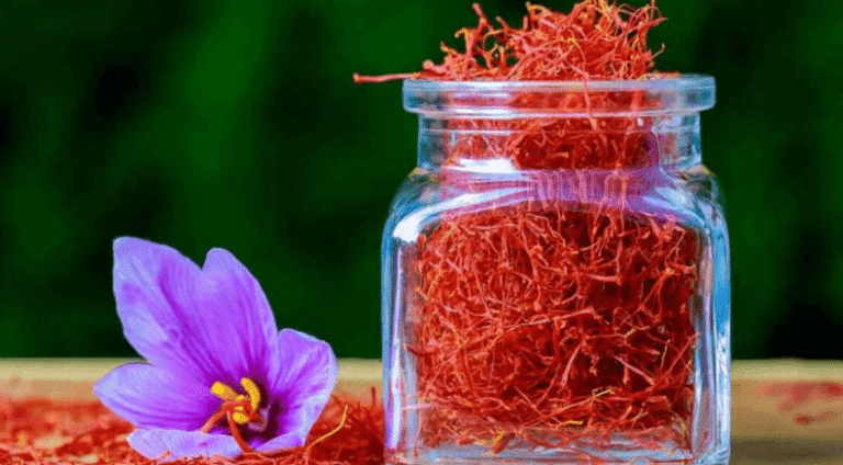 Azafrán: Beneficios, Propiedades y Cómo Preparar su Infusión – Mas Natural